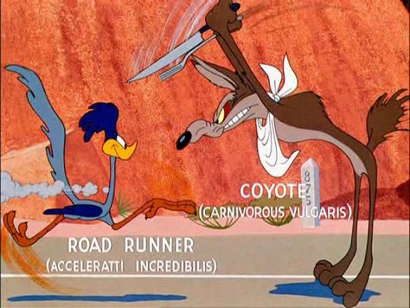 Adventures Of The Road Runner 1962 DVDRip XviD-EXViD » Forums » ArenaBG